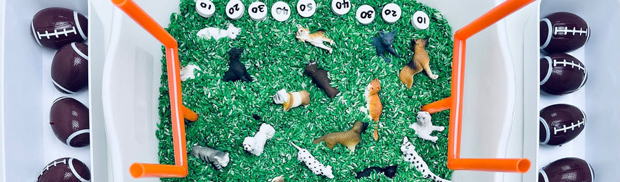 Fun Super Bowl Activities for Kids | Toys That Teach Blog | Safari Ltd ...