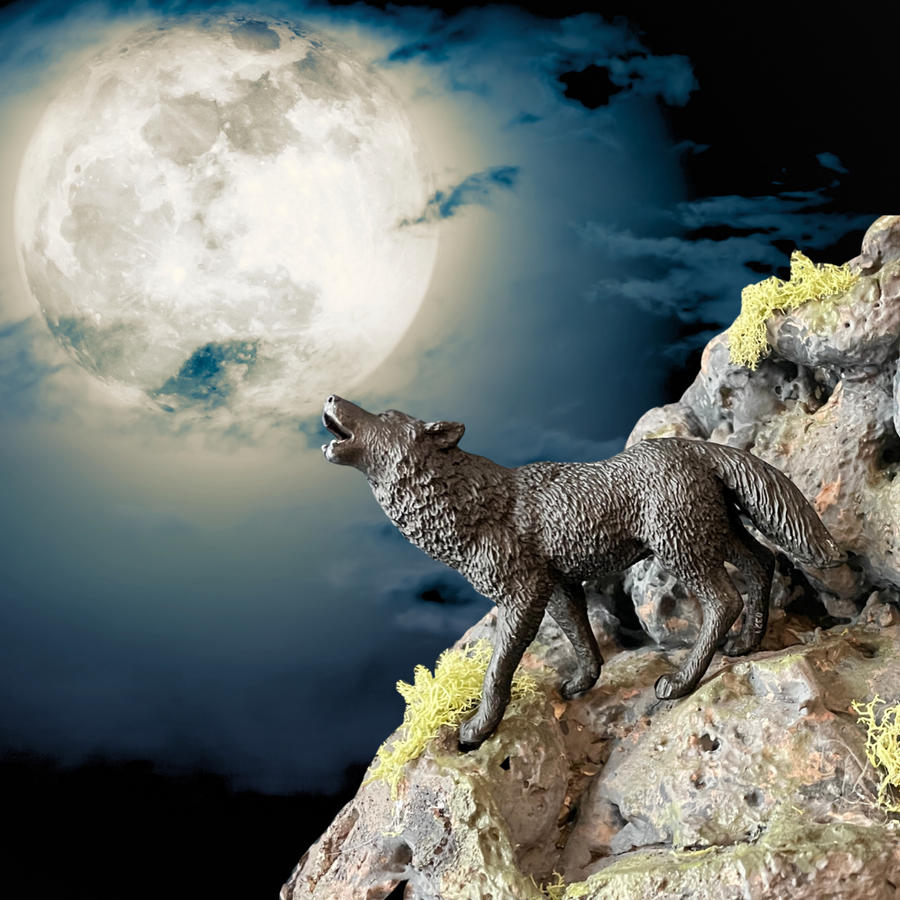 Nocturnal Animals & Creatures | Safari Ltd®