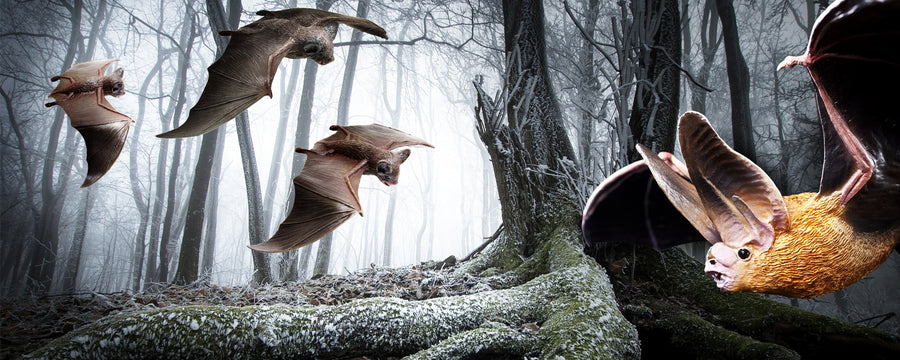 International Bat Appreciation Day | Safari Ltd®