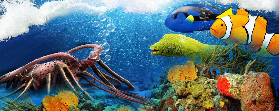 Coral Reef Awareness Week | Safari Ltd®