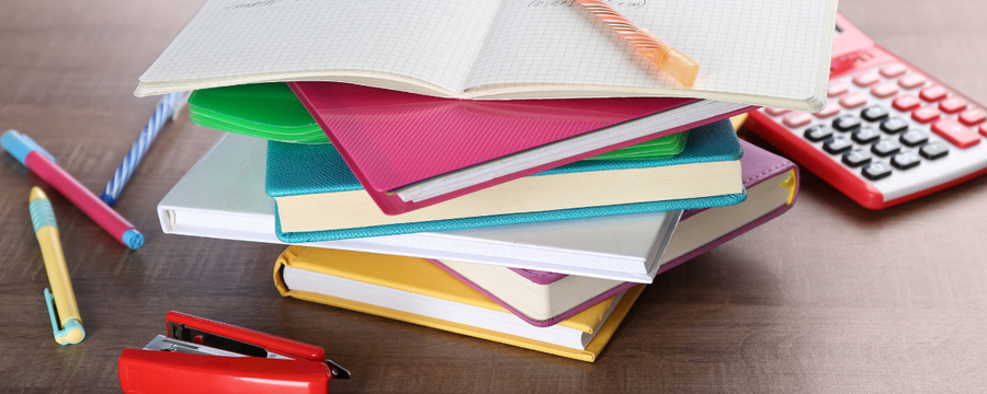 Homework Without Tears: Practical Tips for Parents | Safari Ltd®