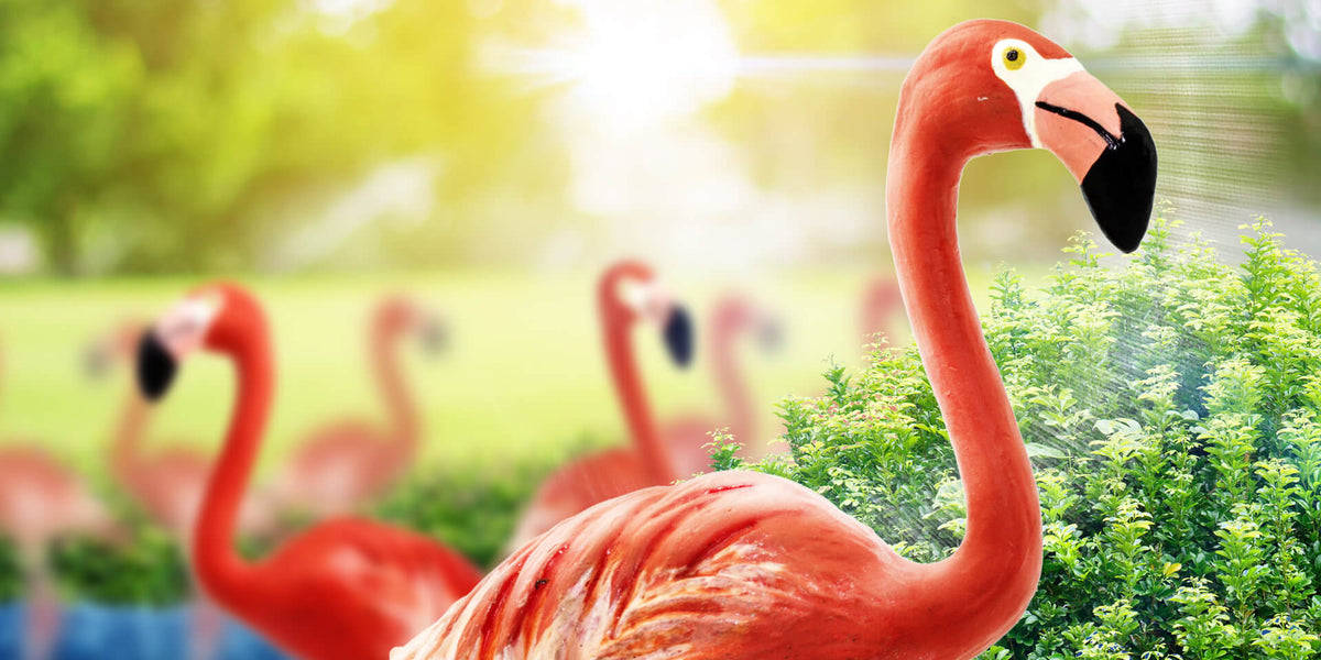 SQUAWK! It's Pink Flamingo Day! | Safari Ltd®