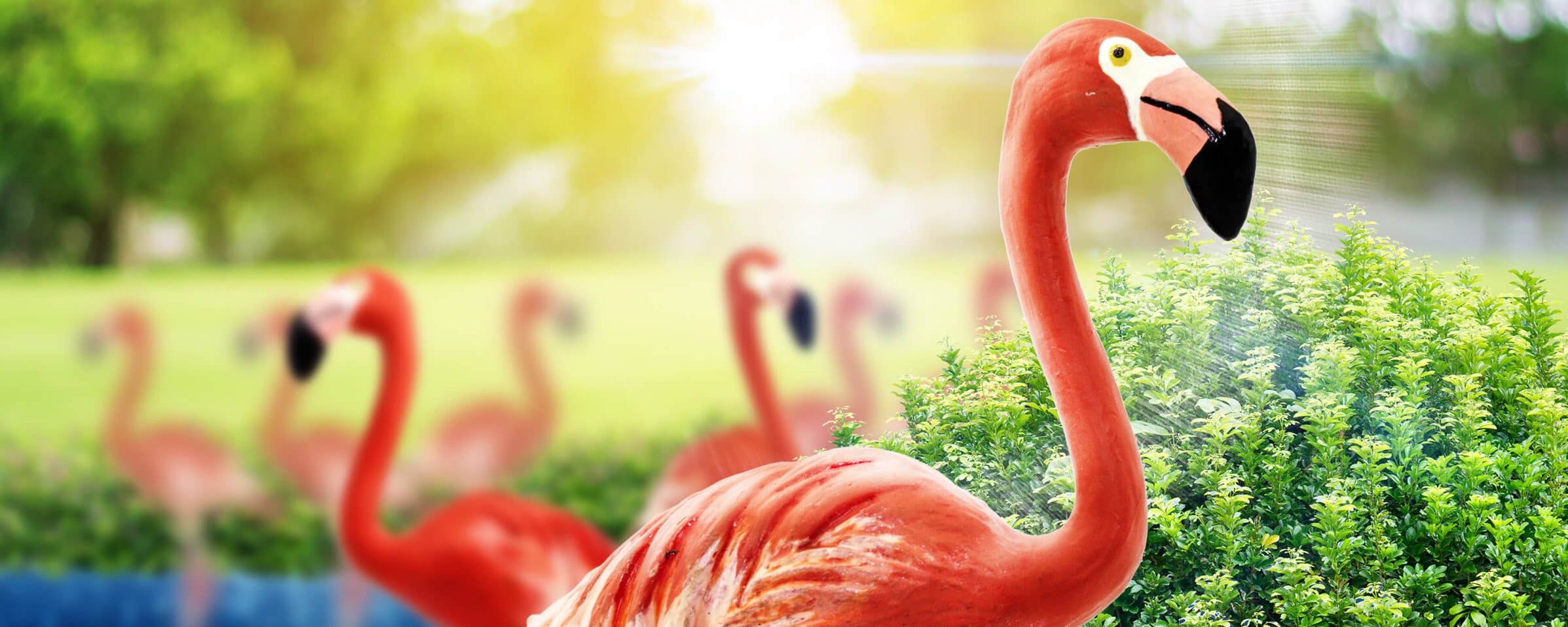 SQUAWK! It's Pink Flamingo Day! | Safari Ltd®