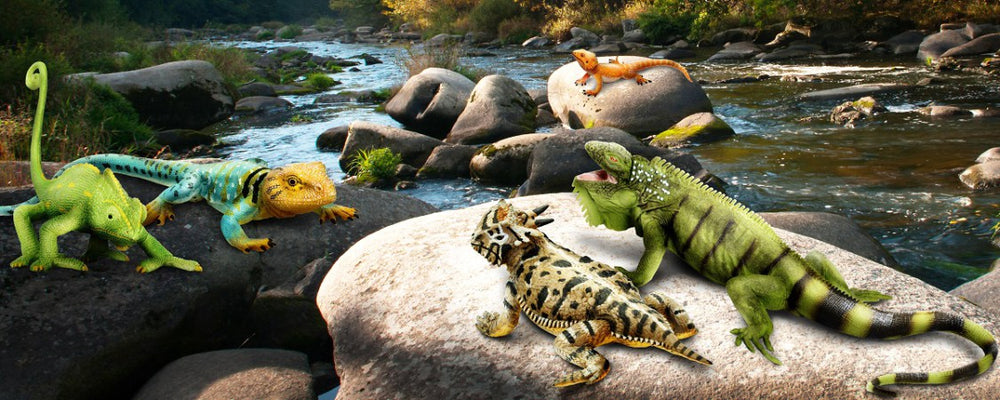 It's World Lizard Day - Show Your Colors! | Safari Ltd®