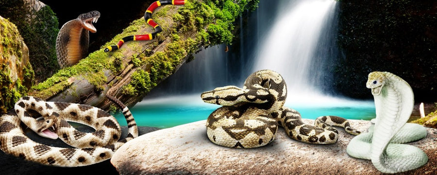 Slither into World Snake Day! | Safari Ltd®