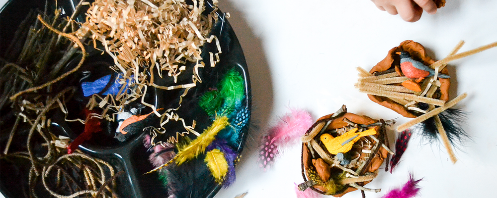 DIY Clay Bird Nests | Safari Ltd®