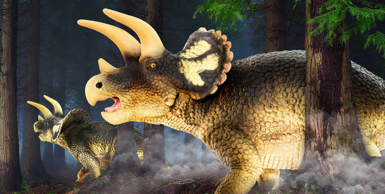Learn about Ceratopsian Dinosaurs! | Safari Ltd®