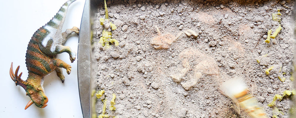 DIY Plaster Dinosaur Fossils | Safari Ltd®
