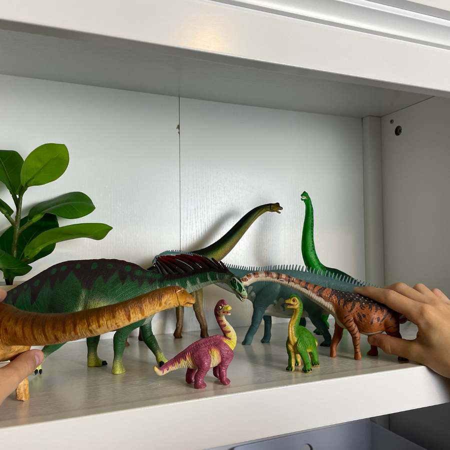 A Beginner's Guide to Toy Rotation: Definition and Easy Steps | Safari Ltd®