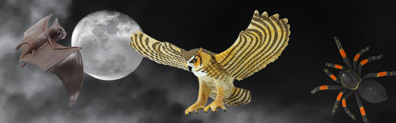 Nocturnal Animals: Discovering Wondrous Creatures That Lurk in the Nig ...