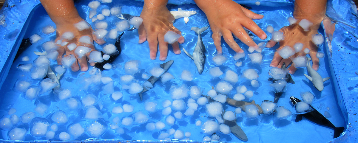 DIY Whale Sensory Bin | Safari Ltd®