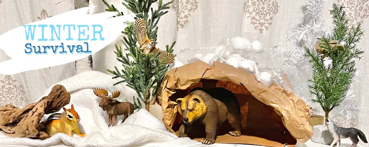 Wild Winters: How Do Animals Survive the Extreme Cold? | Safari Ltd®