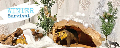 Wild Winters: How Do Animals Survive the Extreme Cold? | Safari Ltd®