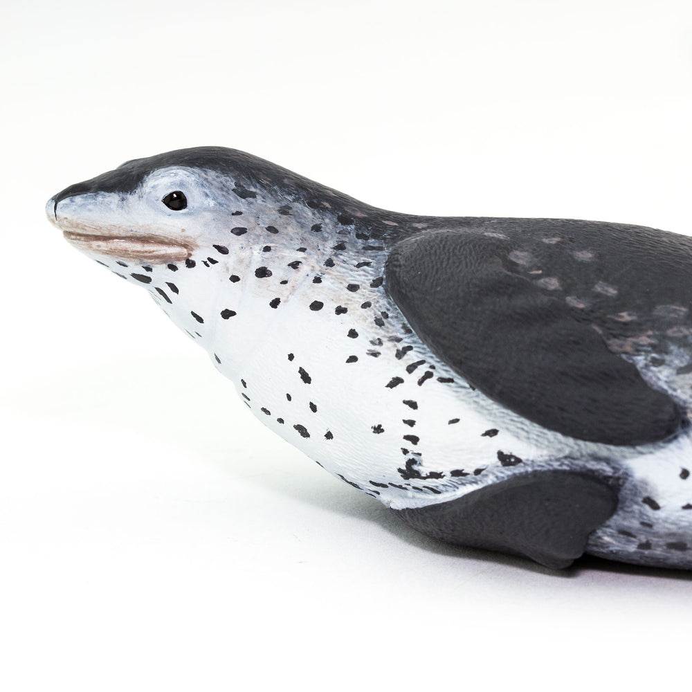 Leopard Seal Toy - Realistic Seal Figurine from Wild Safari® Sea Life ...