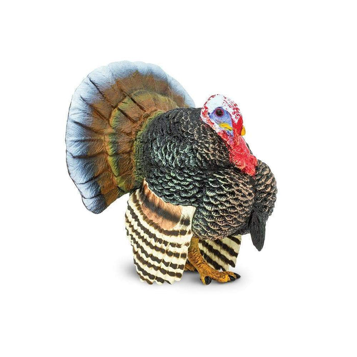 Turkey Figurine – Realistic Farm Animal Toy | Safari Ltd® | Safari Ltd®