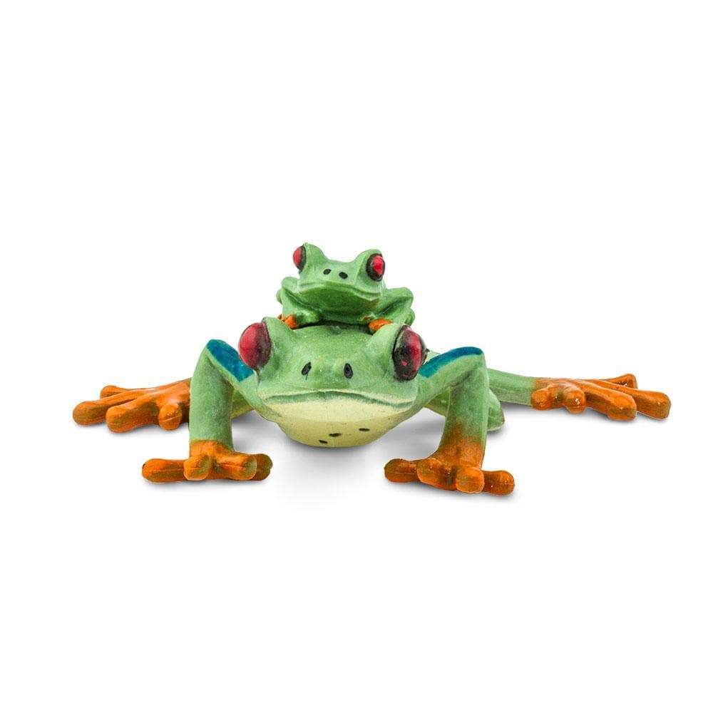Red Eyed Tree Frog Figurine – Realistic Toy | Safari Ltd® | Safari Ltd®
