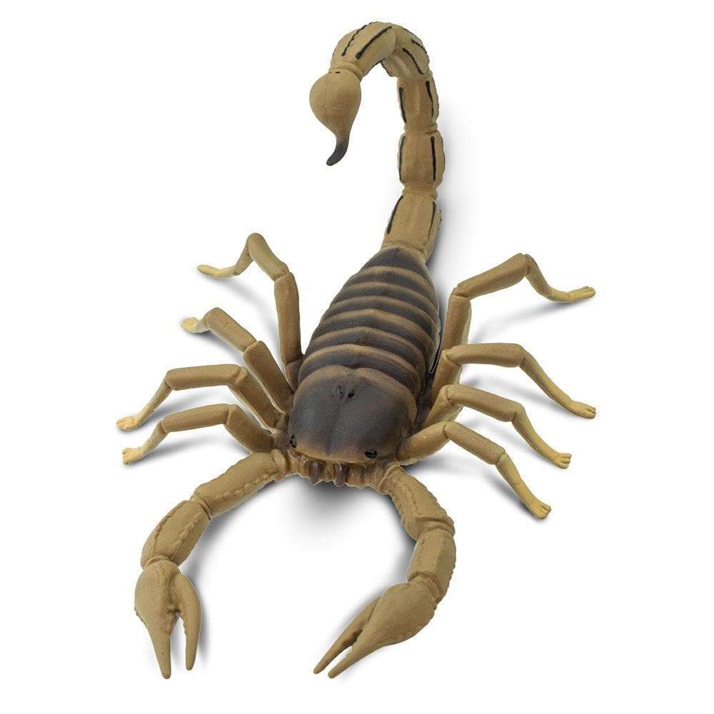 Scorpion Toy | Safari Ltd®