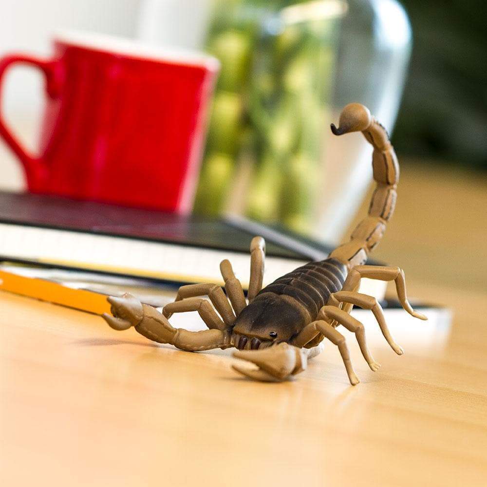 Scorpion Toy | Safari Ltd® | Safari Ltd®