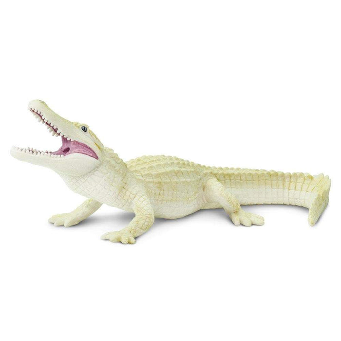 White Alligator Toy | Safari Ltd®