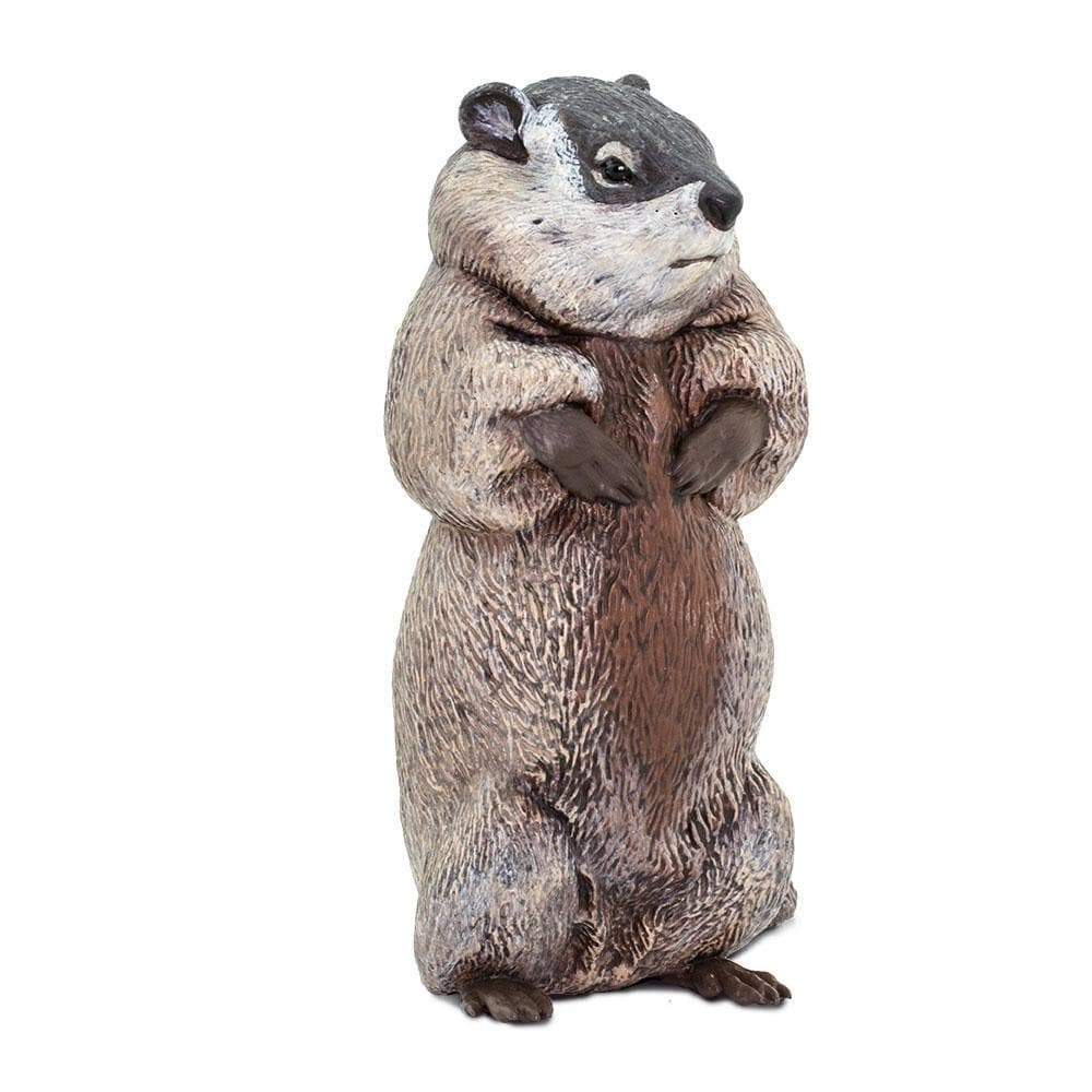 Groundhog XL Toy | Safari Ltd | Safari Ltd®