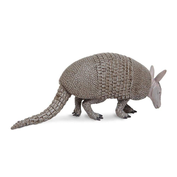 Armadillo Toy - Realistic Armadillo Model from Incredible Creatures ...