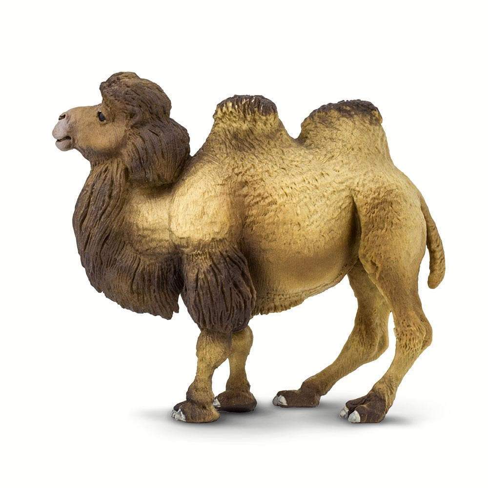 Bactrian Camel Toy Figure | Realistic Safari Ltd Animal | Safari Ltd®