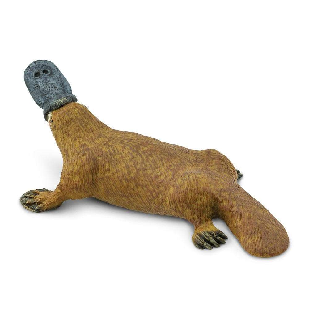 Platypus Toy Figurine | Safari Ltd® Australian Animal Model | Safari Ltd®