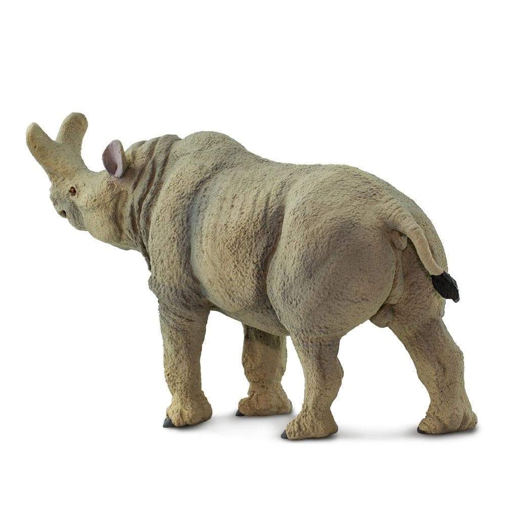 Megacerops Toy | Safari Ltd®
