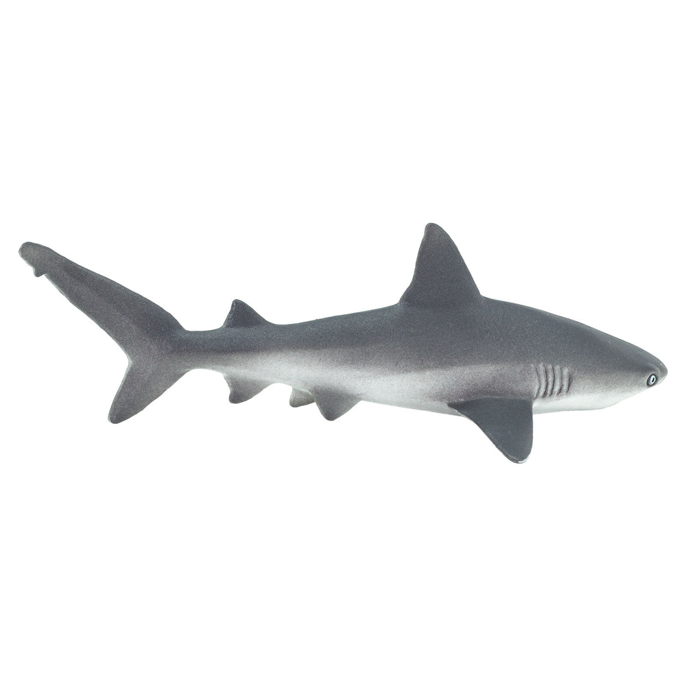 Gray Reef Shark Toy | Safari Ltd®