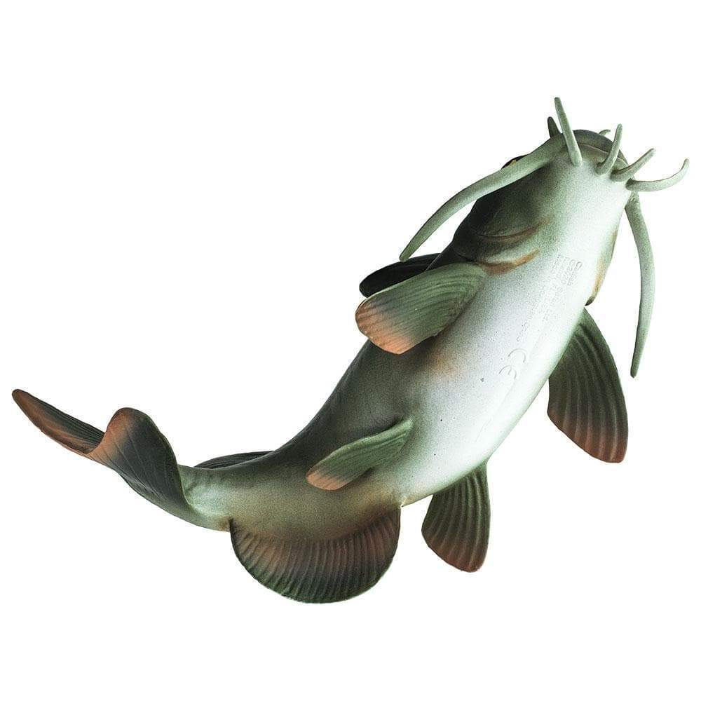 Catfish Figure – Realistic Freshwater Fish Toy for Kids, Boys and Girls ...