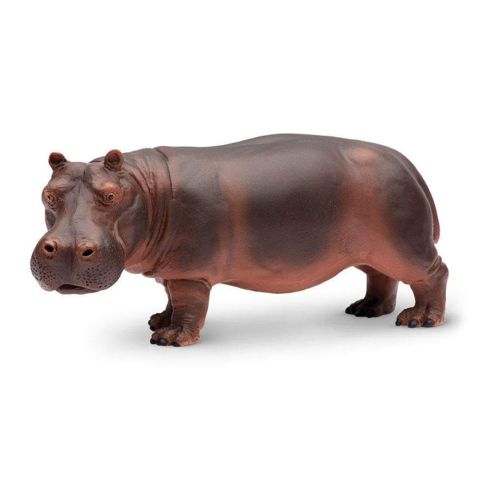 Hippopotamus Toy | Wildlife Animal Toys | Safari Ltd®