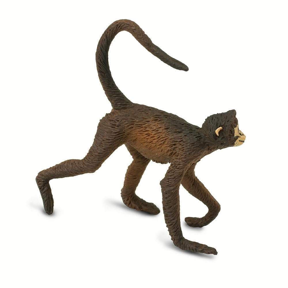 Spider Monkey Toy Figurine – Realistic New World Primate | Wild Safari ...