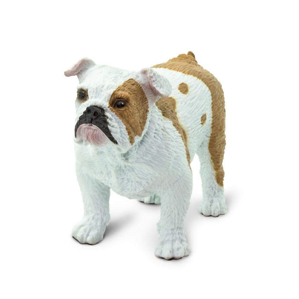 Bulldog Toy, Bulldog Figurines | Safari Ltd®