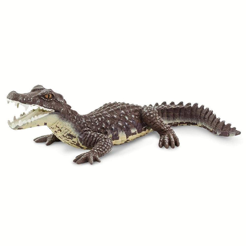 Caiman Figure – Realistic Reptile Toy for Kids, Boys and Girls | Safari ...