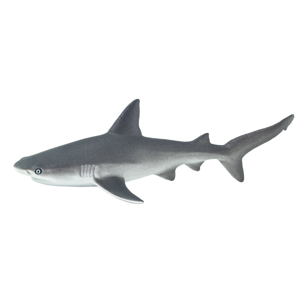Gray Reef Shark Toy | Safari Ltd®