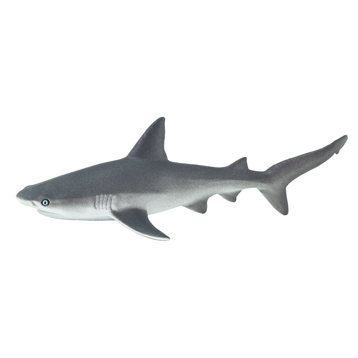 Gray Reef Shark Toy | Safari Ltd®