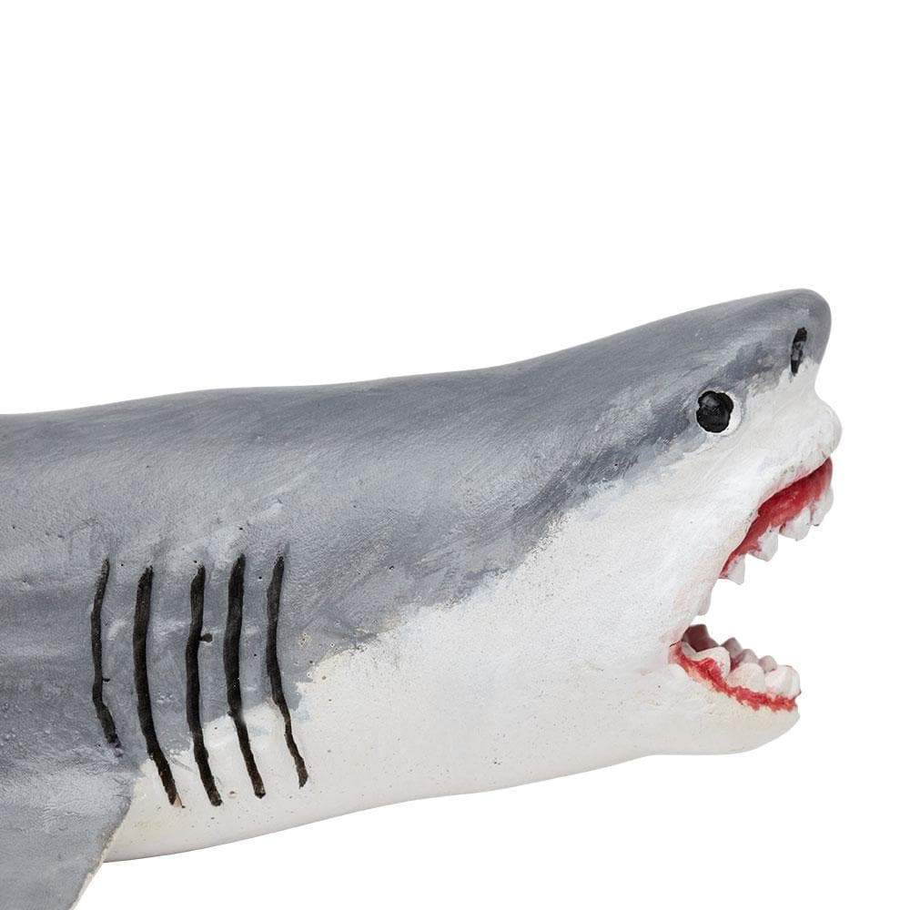 Megalodon Toy | Safari Ltd® | Safari Ltd®