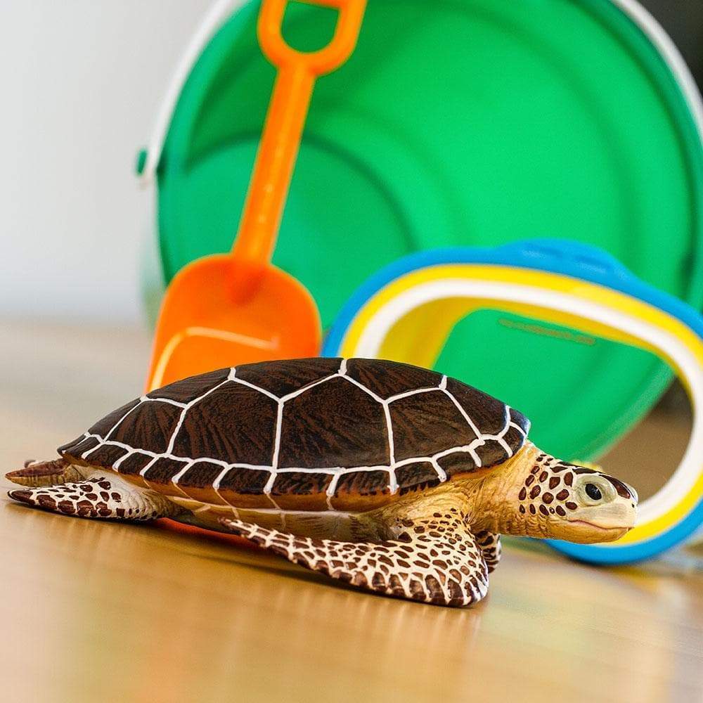 Sea Turtle Toy | Safari Ltd®