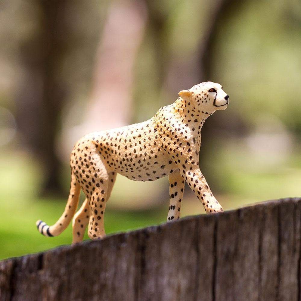 Cheetah Toy | Safari Ltd®