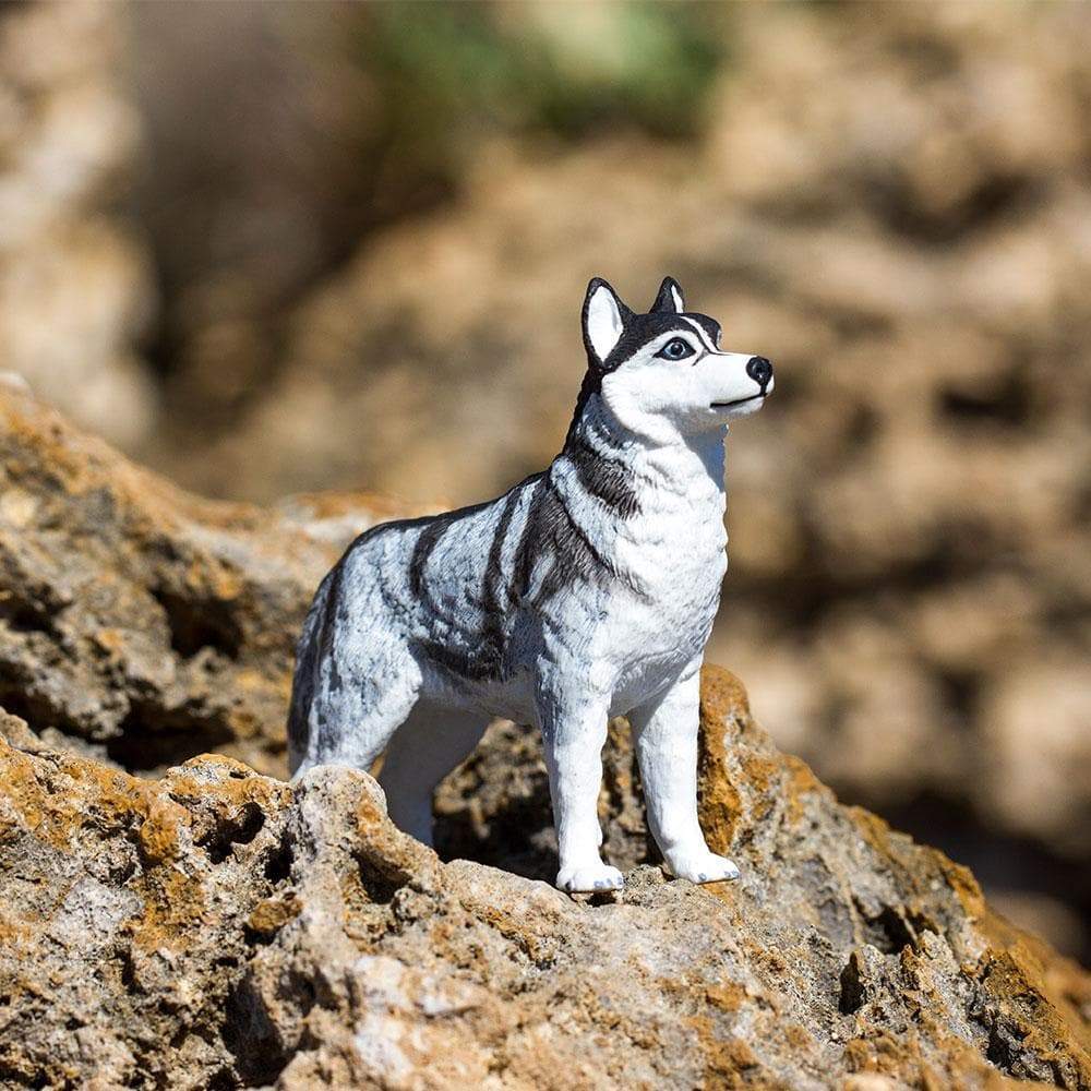 Siberian Husky Figurine | Safari Ltd®