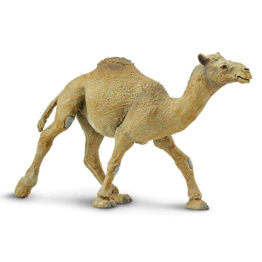 Dromedary Camel Toy Figure – Arabian Camel | Wild Safari® Wildlife ...