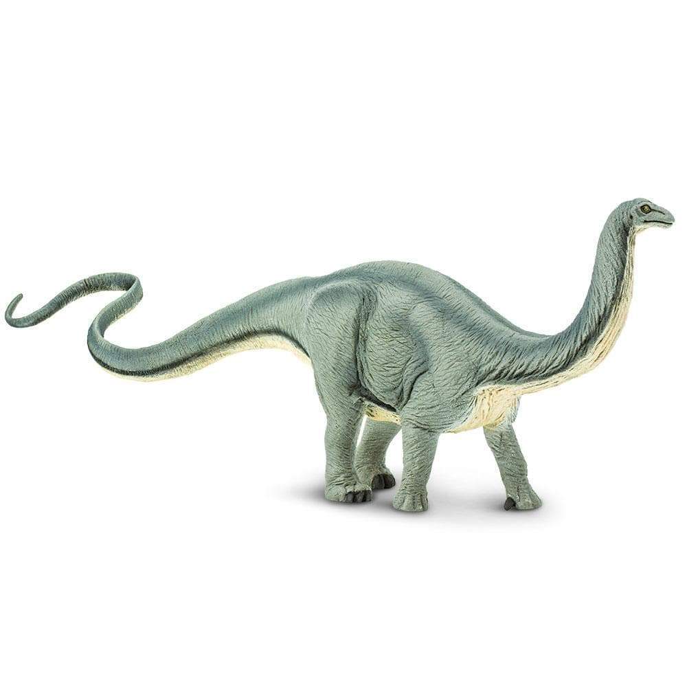 Apatosaurus Toy | Dinosaur Toys | Safari Ltd®
