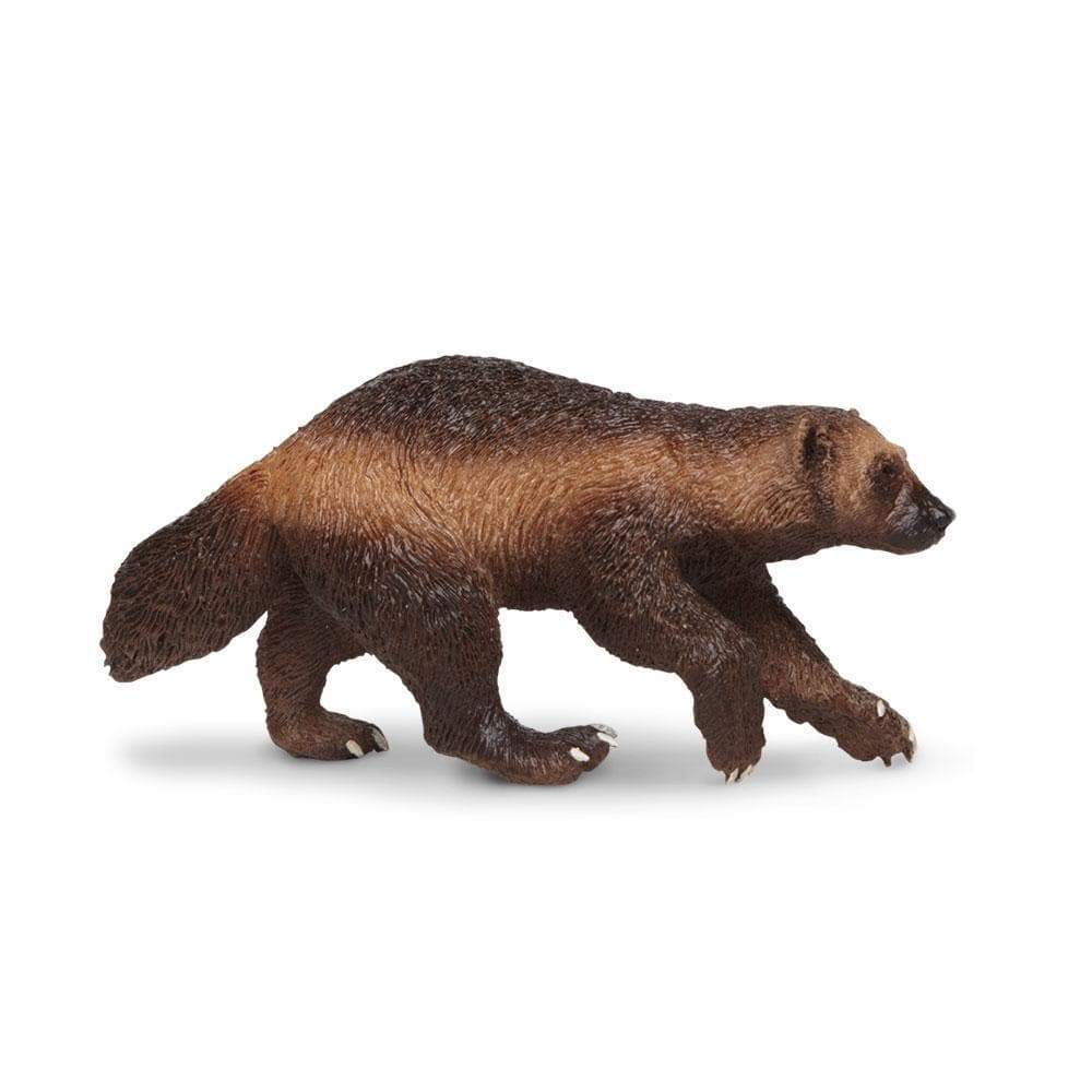 Wolverine Toy | Wildlife Animal Toys | Safari Ltd®