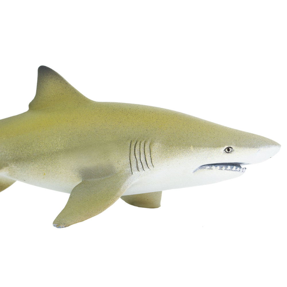 Lemon Shark Toy | Safari Ltd®