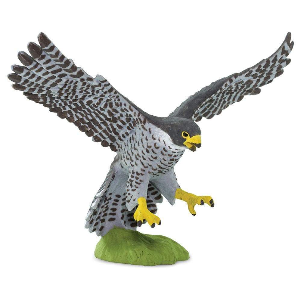 Peregrine Falcon Toy | Wildlife Animal Toys | Safari Ltd®