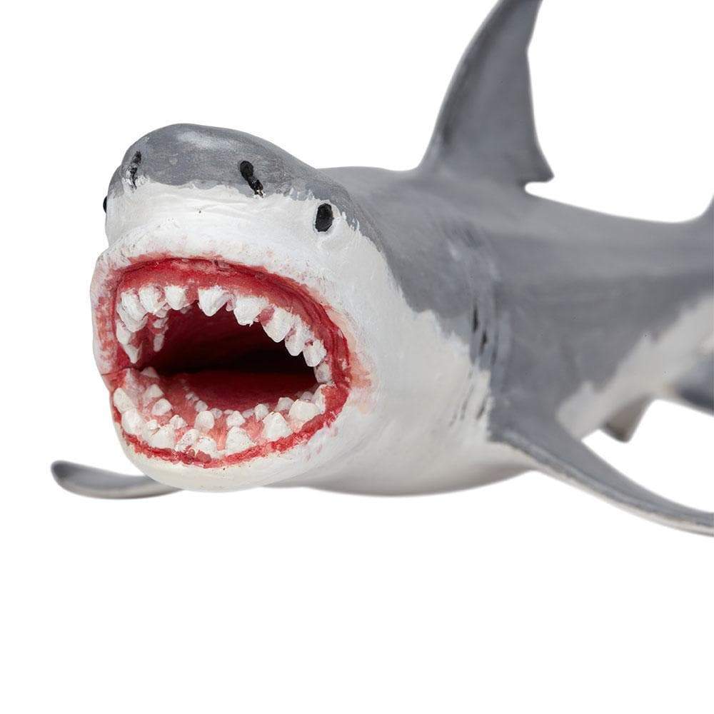 Megalodon Toy | Safari Ltd® | Safari Ltd®