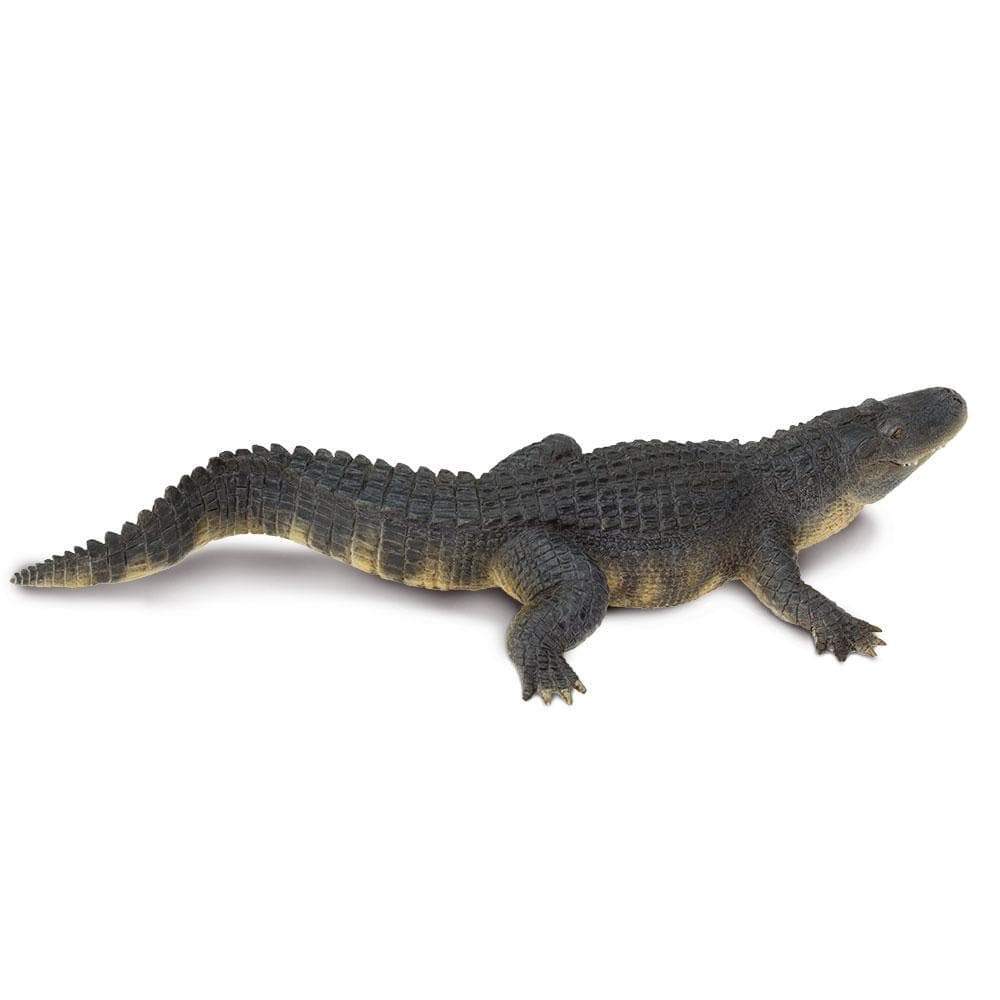 Alligator Toy | Safari Ltd®