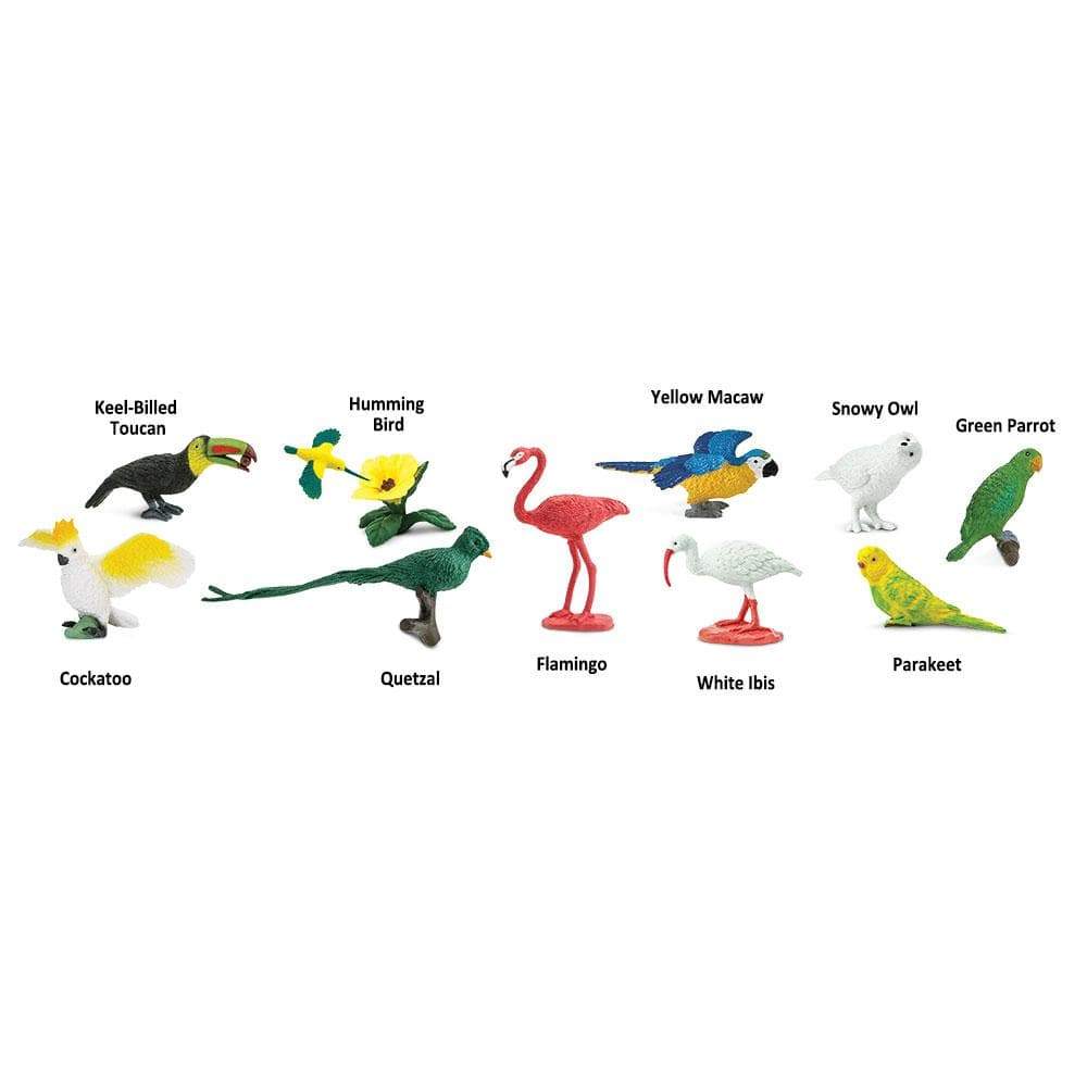 Exotic Birds TOOB® Figurines | Safari Ltd® Bird Toy Set | Safari Ltd®