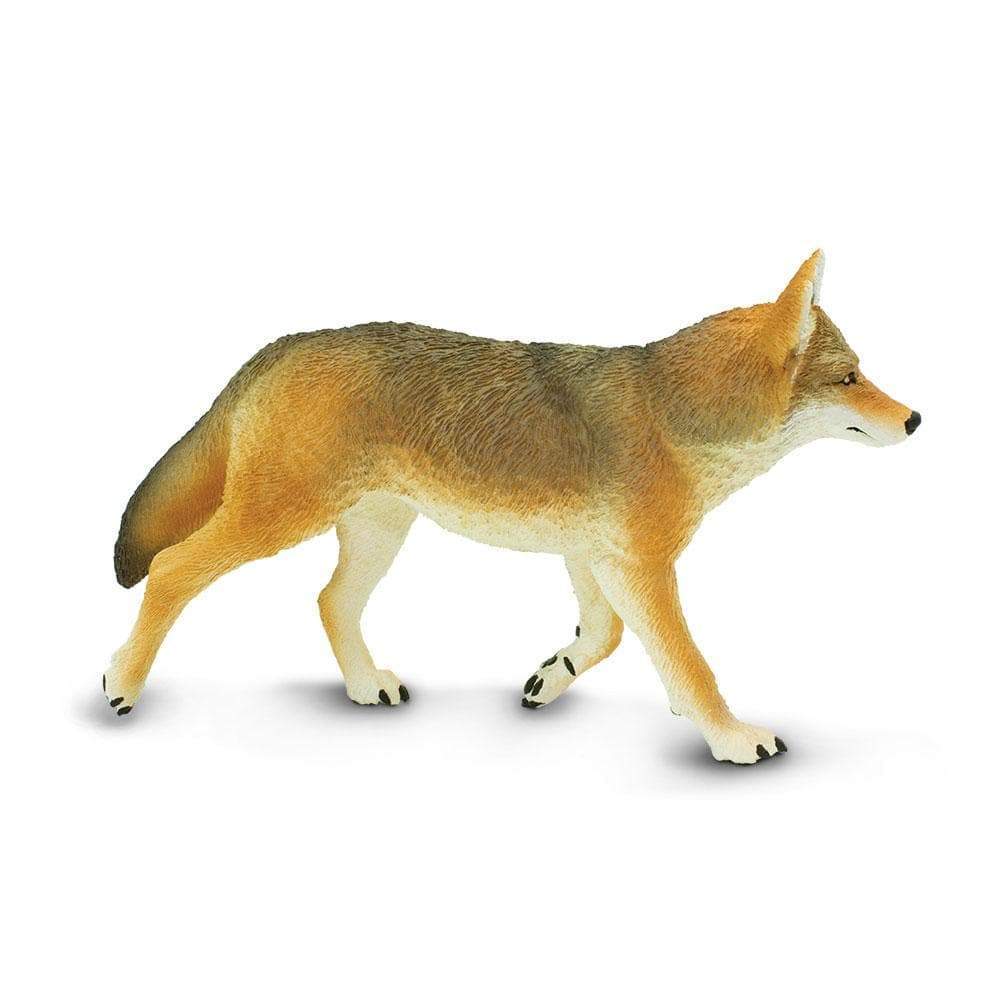 Coyote Toy | Wildlife Animal Toys | Safari Ltd®