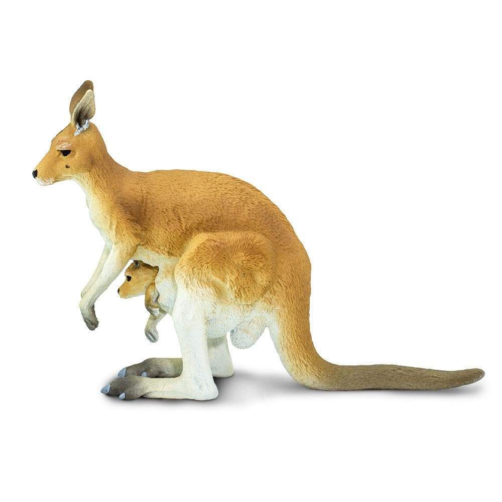 Kangaroo with Joey Figure – Realistic Animal Toy for Kids, Boys and ...